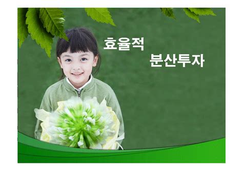 투자론 효율적 분산투자 경제경영