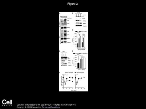 Dai Zbp Dlm Complexes With Rip To Mediate Virus Induced Programmed Necrosis That Is Targeted