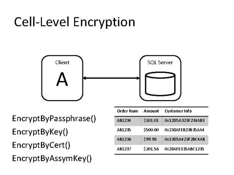 build secure database applications with microsoft sql server