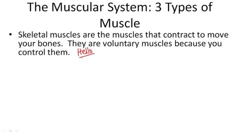 Human Body Systems Example 9 Video Biology Ck 12 Foundation