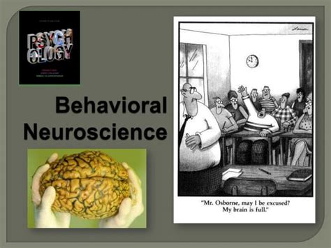 Chapter 2 Psych 1 Online Stud Ppt