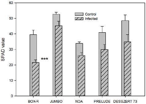 Relative Chlorophyll Content Average Spad Values Of Seven Leaves Per