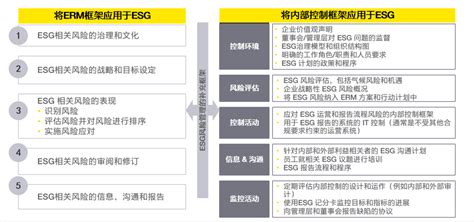 与时俱进，辅车相依：发挥内部审计在esg管理中的关键作用