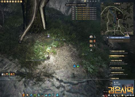 [팁 And 노하우] [아침의 나라] 이상하고 아름다운 약초 도깨비숲 위치 검은사막 한국