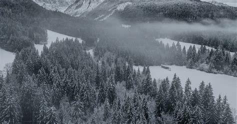 눈으로 뒤덮이고 나무로 둘러싸인 산 사진 Unsplash의 눈 덮인 산 이미지