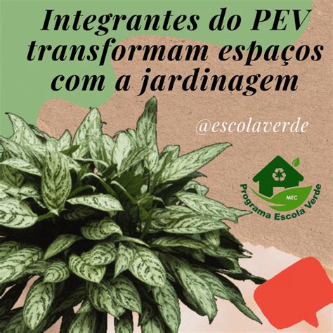 Maio 2024 Programa Escola Verde