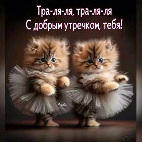 Доброе утро Котята Смешные фотографии кошек Картинки домашних животных