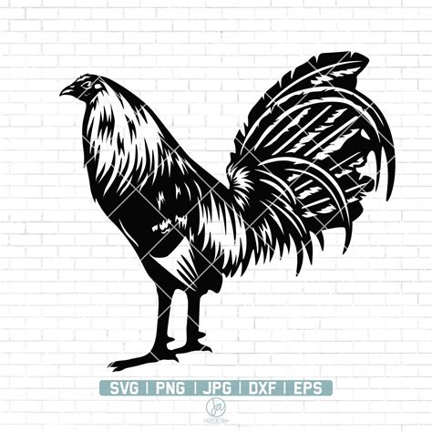 Dibujo De Contorno De Gallo