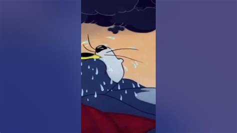 توم اند جيري Youtube