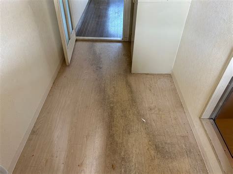 大阪市東淀川区にて 死後2週間の孤独死現場での特殊清掃作業 内装業者様よりご依頼 大阪の遺品整理・特殊清掃専門会社「クリーンメイト」遺品