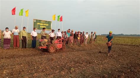 အိမ်မဲမြို့နယ်တွင် ၂၀၂၂ ၂၀၂၃ မိုးစပါးရာသီသစ်စိမ်းမြေသြဇာ ပိုက်ဆံလျှော်ကြဲပတ်ပွဲကျင်းပ