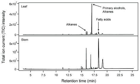 Example Gc Ms Chromatograms For Leaf And Stem Metabolites In The Wheat