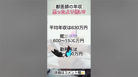 獣医師の年収は低い？！ Youtube