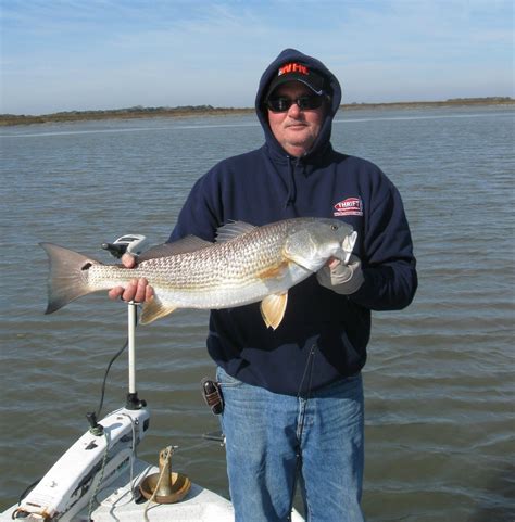 Coastal Georgia Inshore Charters Random Inshore Saltwater Tips For