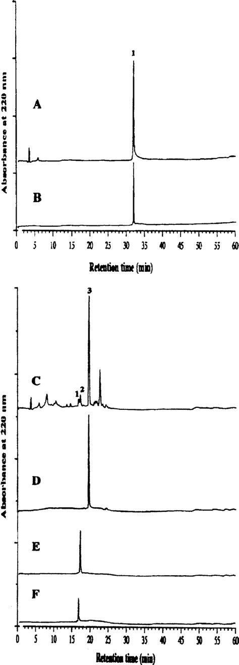 Reverse Phase Hplc Chromatogram Of The Elution Peaks Obtained During Download Scientific