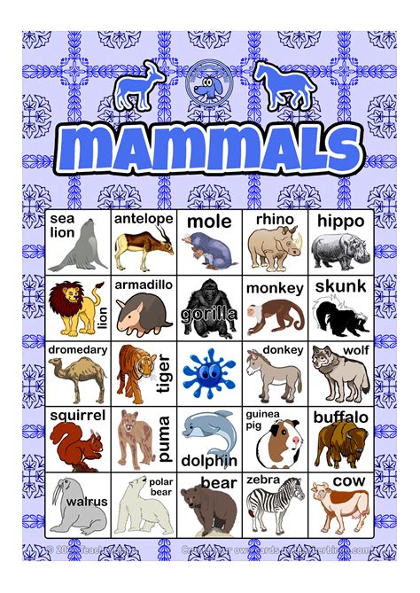 Mammals Bingo 5x5 100 Pages Call Sheet Made By Teachers