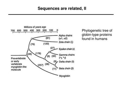 Ppt Pairwise Alignment And Database Searching Powerpoint Presentation Id610842