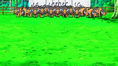 Tauros On Tumblr