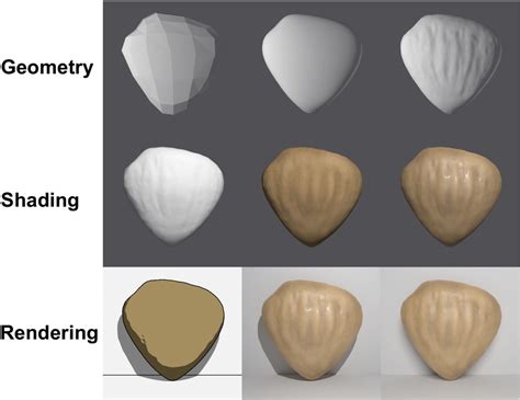 The Geometry Shading And Rendering Model As Described By Skulmowski Download Scientific