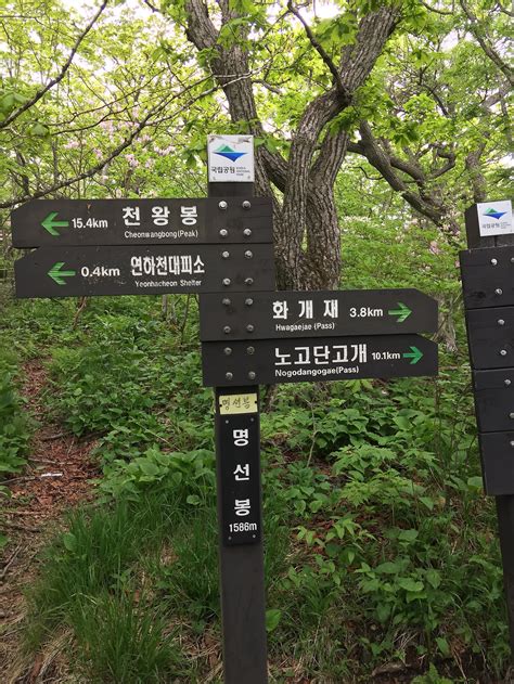 달리기 전에 산 오르기