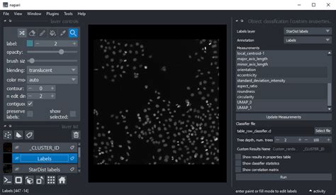 Explorative Image Data Science With Napari Focalplane