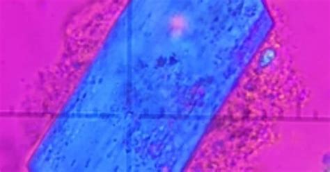 Lovely Euhedral Grain Found In Some Joi In Compound Album On Imgur