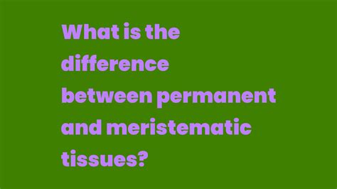 What Is The Difference Between Permanent And Meristematic Tissues