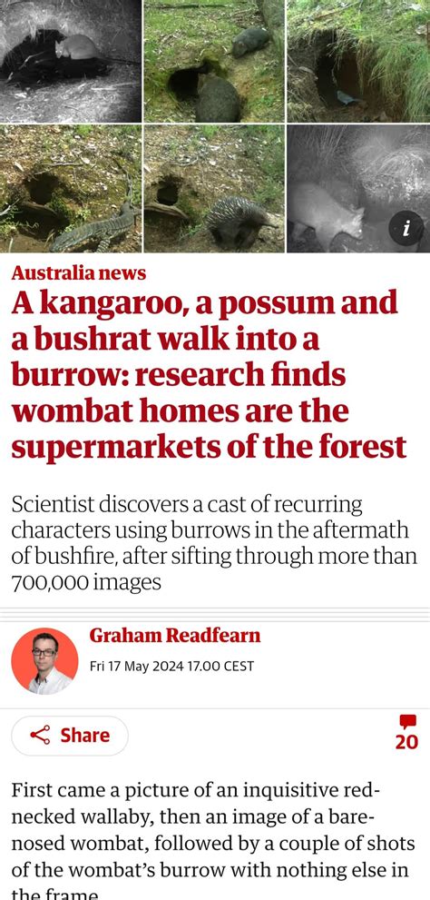 Bar Joke Album On Imgur