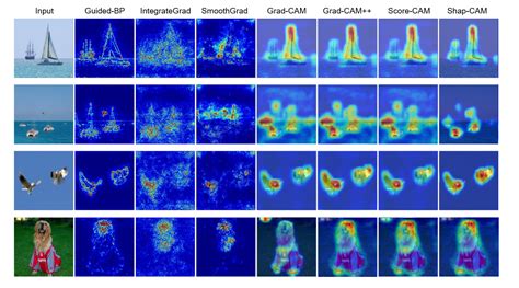 shap cam visual explanations for convolutional neural networks based