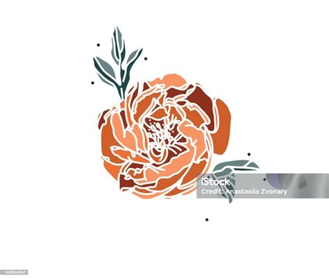 손으로 그린 벡터 추상 스톡 플랫 그래픽 일러스트 레이 션은 브랜딩을위한 간단한 스타일의 모란의 선 꽃 예술의 로고 요소와 흰색