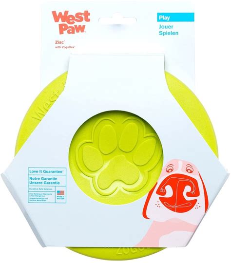 Best Dog Frisbees For Active And Energetic Canines