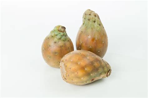가시 배 선인장 과일 오펀티아 선인장 인디카 중립 배경에 사진 0명에 대한 스톡 사진 및 기타 이미지 0명 가시 건강한