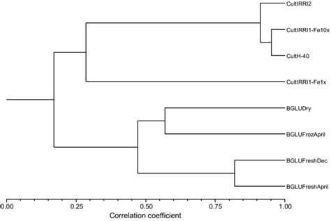 dendrogram obtained with the correlation coefficient and upgma cluster