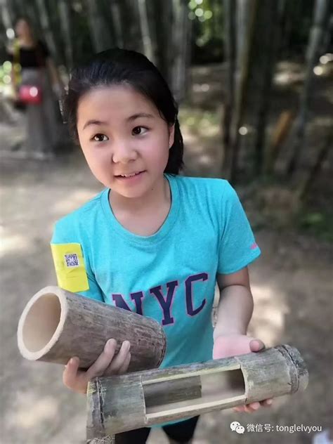 【定制1天】从化｜耕山小寨乡村游自然探索乐园！~植树、插秧、挖马蹄、摘青梅、丛林穿梭、牧场创意竹艺、童趣牧场 百鸟园（掏鸟蛋）等 搜狐大视野 搜狐新闻