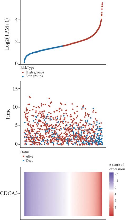 Cdca3 May Be An Independent Prognostic Factor For Rcc Survival Curves