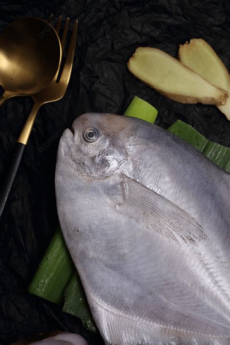 음식 해산물 음식 사진 지도 배경 해물 해산물 음식 물고기 배경 일러스트 및 사진 무료 다운로드 Pngtree