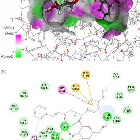 A 3 D Interaction Diagram With A Surface Color By Hydrogen Bond Type