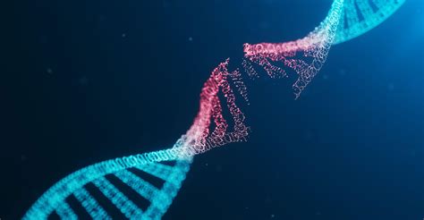To Learn More Quickly Brain Cells Break Their Dna Nexus Newsfeed