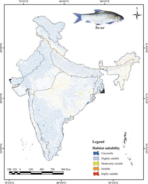 4 Habitat Suitability Mapping Of Indian Drainage System Download