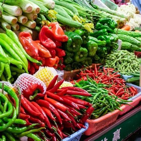 便宜50以上！全国首家“菜篮子保供大市场”落户郑州郑菜餐饮农产品