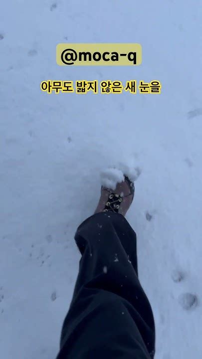 이런게 행복이지 Happiness Youtube 이런게 행복이지 Happiness Youtube
