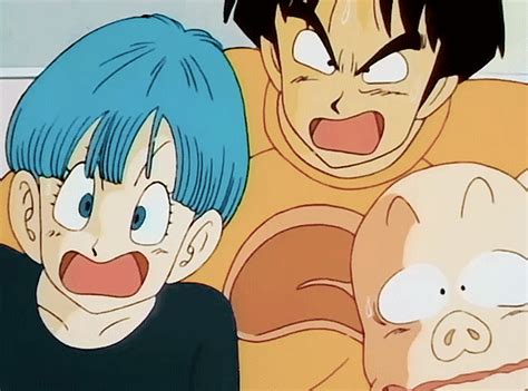 Bulma Yamcha And Oolong Dragon Ball Z Anime Bulma