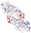 In Silico Approach Gives Insights Into Ig Like Fold Containing Proteins