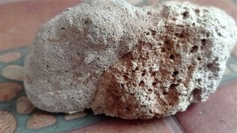 Descubre Paso A Paso Cómo Se Forma La Piedra Pómez Un Proceso Natural