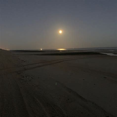 Photos à Naaktstrand Bredene Plage nudiste à Bredene