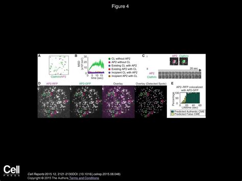 Machine Learning Based Analysis In Genome Edited Cells Reveals The