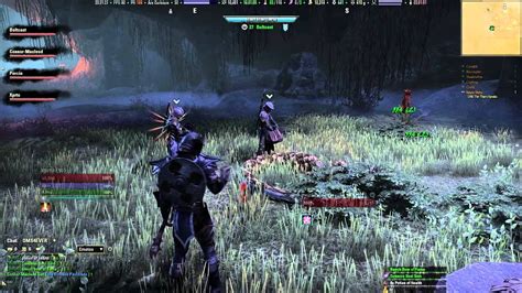 OMS4EVER Elder Scroll Online Arx Corinium Dungeon YouTube