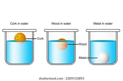 Different Densities Liquids Royalty Free Images Stock Photos Pictures Shutterstock