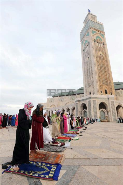世界各地穆斯林迎接2012年宰牲节 人文记实 穆斯林在线muslimwww