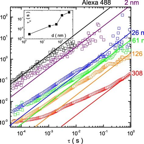 Typical Autocorrelation Functions Of Particles With Different Sizes